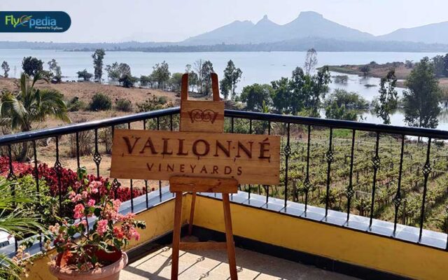 Best Wineries & Vineyards of India to Enjoy a Glass of Wine - Flyopedia ...